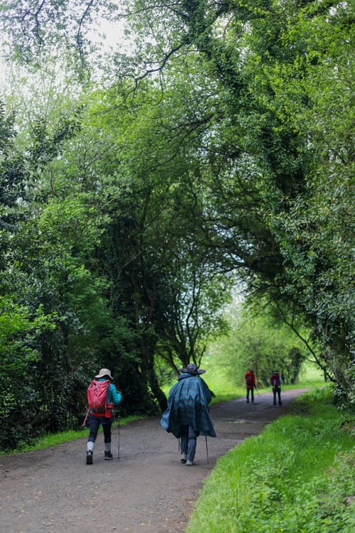 The Northern Way - El Camino de Santiago